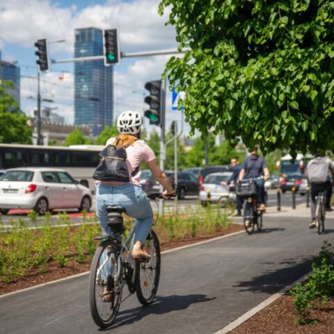 Making grey cities greener