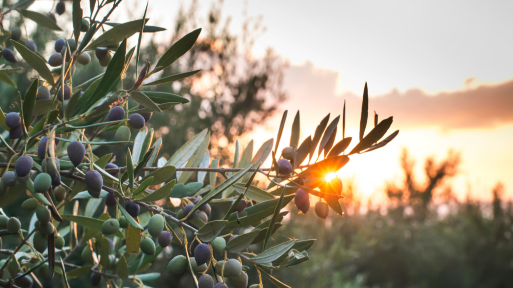 Stopping biodiversity loss through better ecosystem management ...