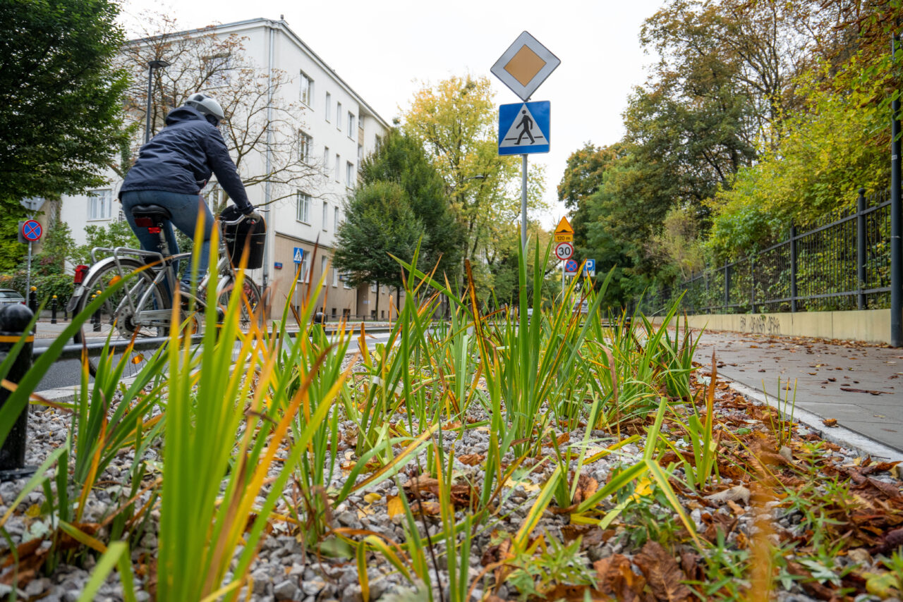 Making grey cities greener