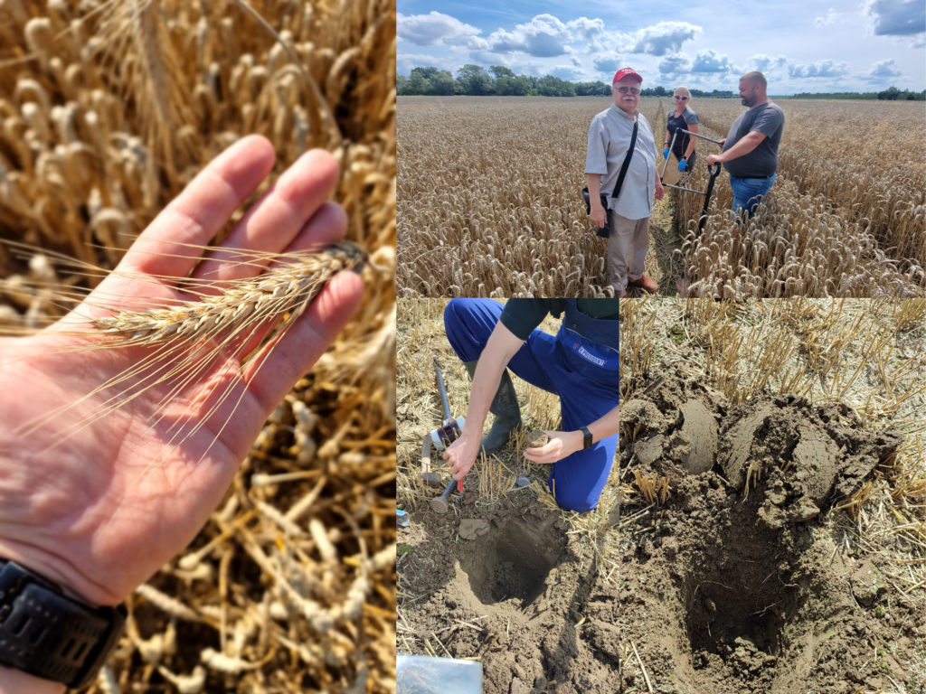 Intensive Research Period for Carbon Farming CE Project Partner During ...