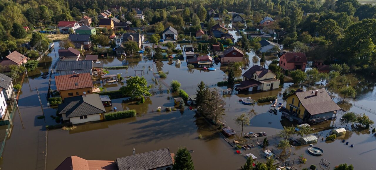 New Infographics and Video Highlight Pilot Activities Across LOCALIENCE ...