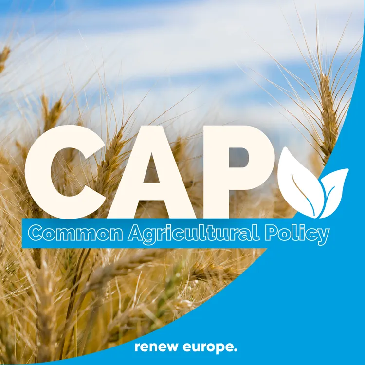 CAP 2028 -2034: the Commission on the state of the art of the debate on ...